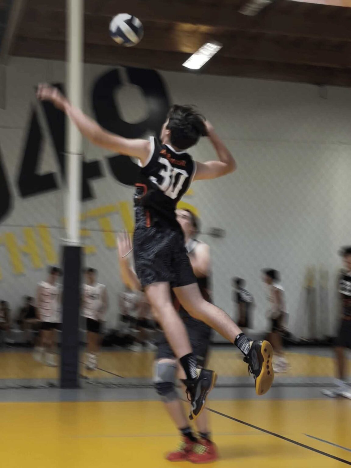 Mentor Volleyball Academy